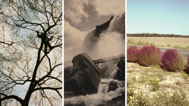 Associate Art Professor Curates Exhibition at Hecksher Museum - On ...
